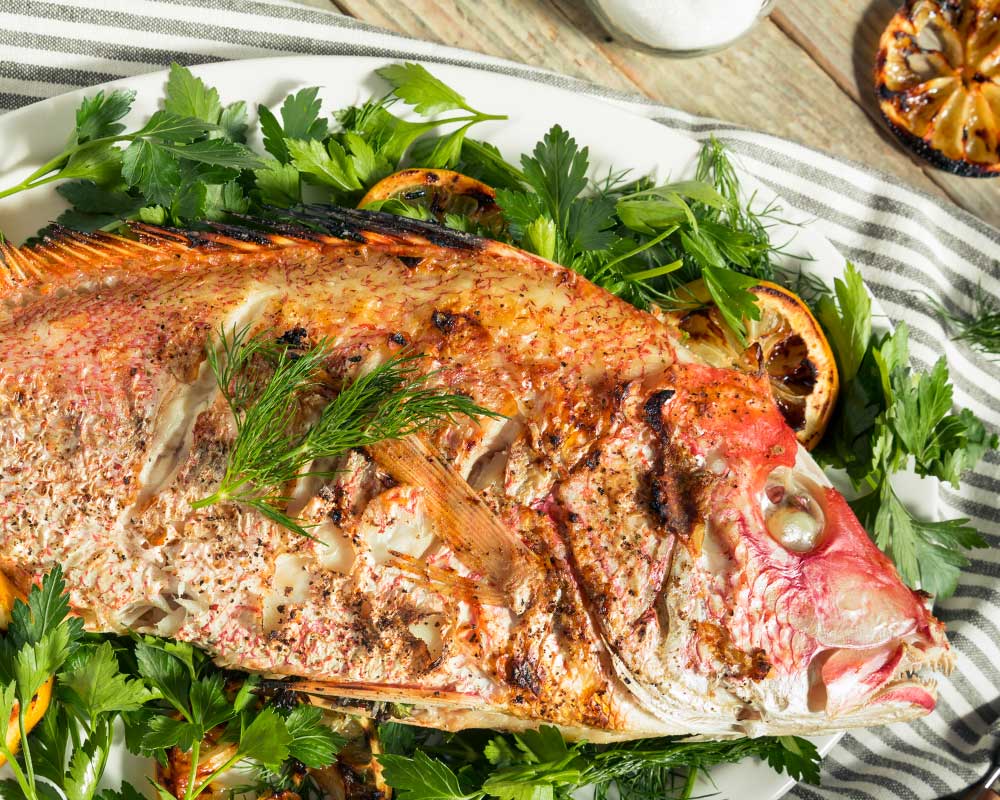 An amazing fried fish - Red Snapper – Ocean2Fish